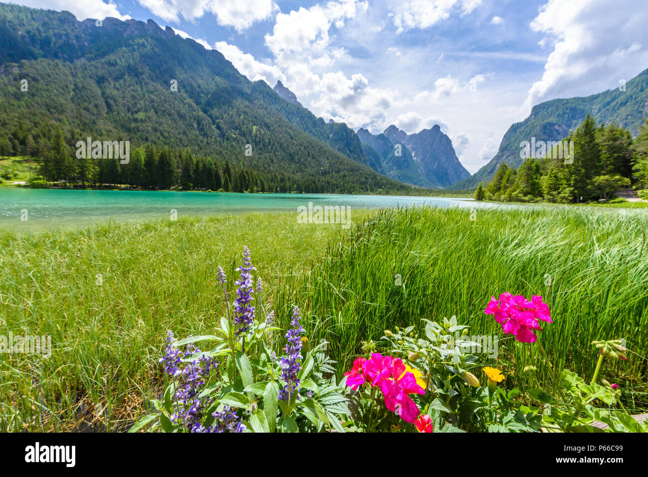 Lake Dobbiaco (Toblacher See, Lago di Dobbiaco) in Dolomite Alps, South ...