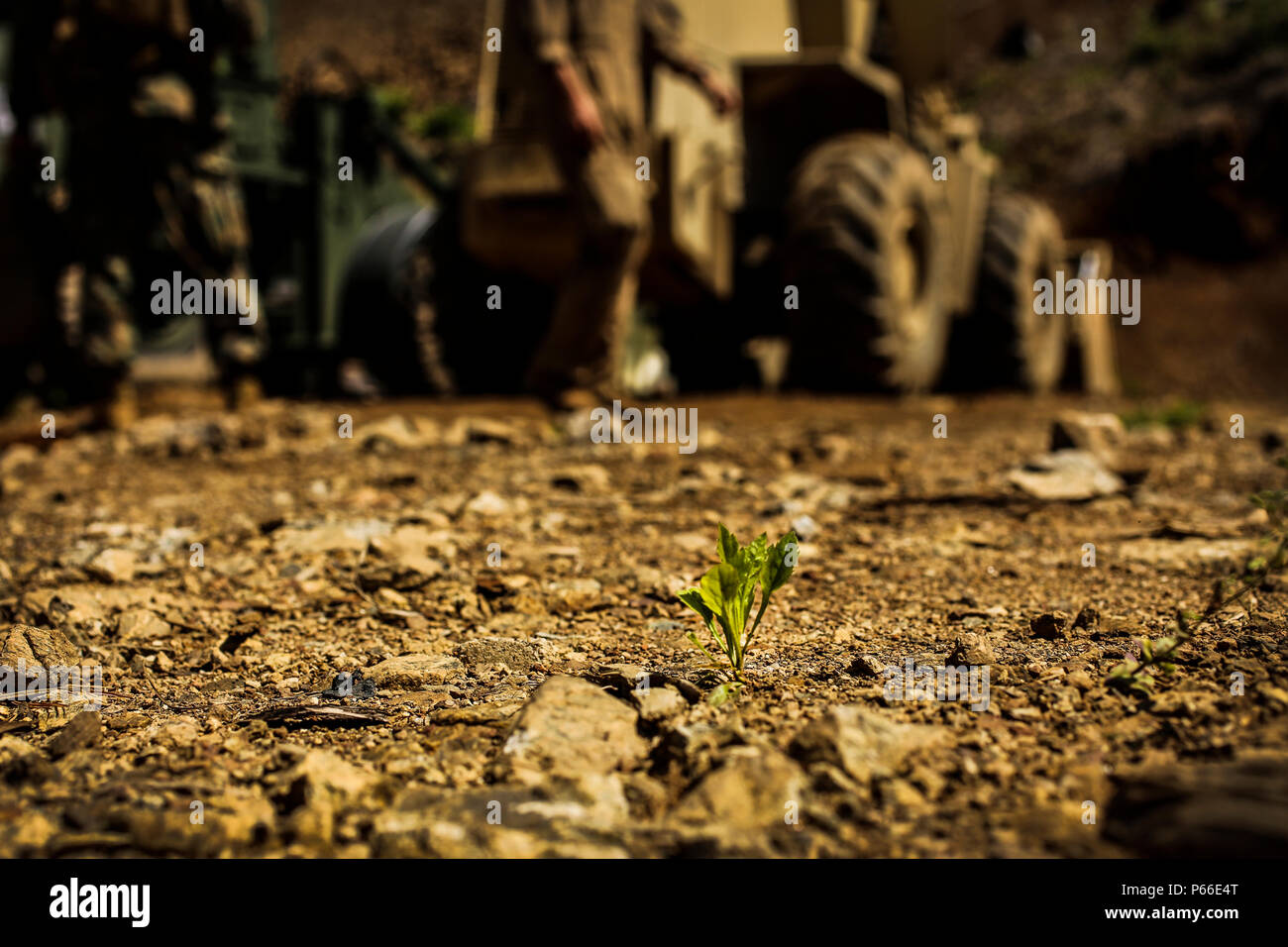 CAMP RODRIGUEZ LIVE FIRE COMPLEX, South Korea — Marines prepare an area ...