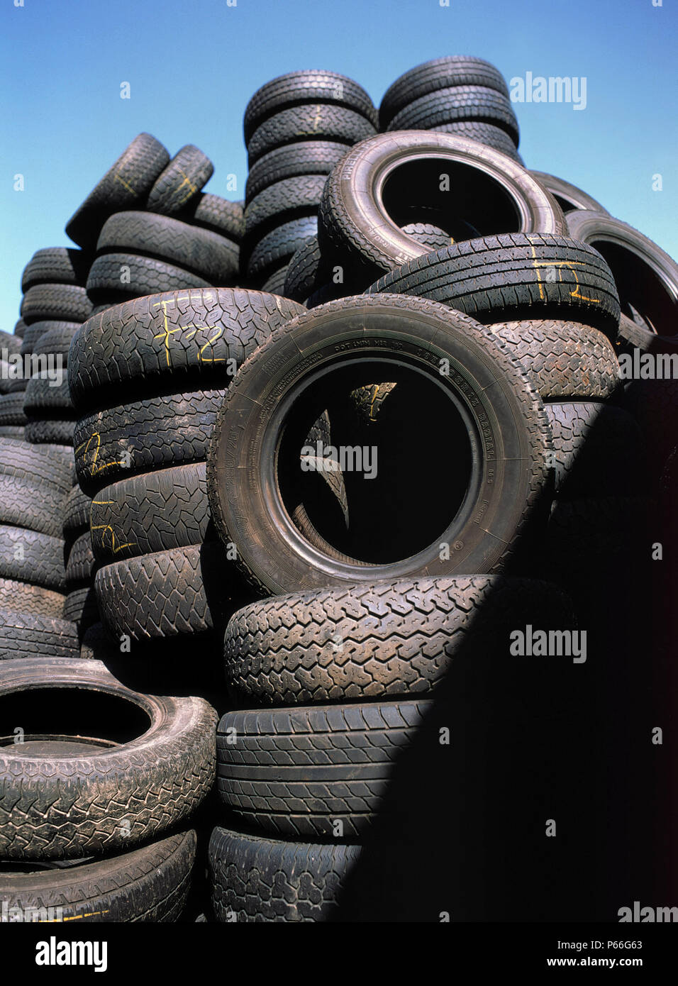 Collecting ring hi-res stock photography and images - Alamy