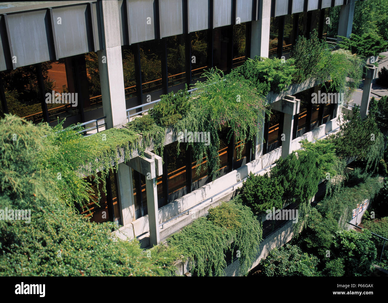 Hanging plants decorating office building Stock Photo - Alamy
