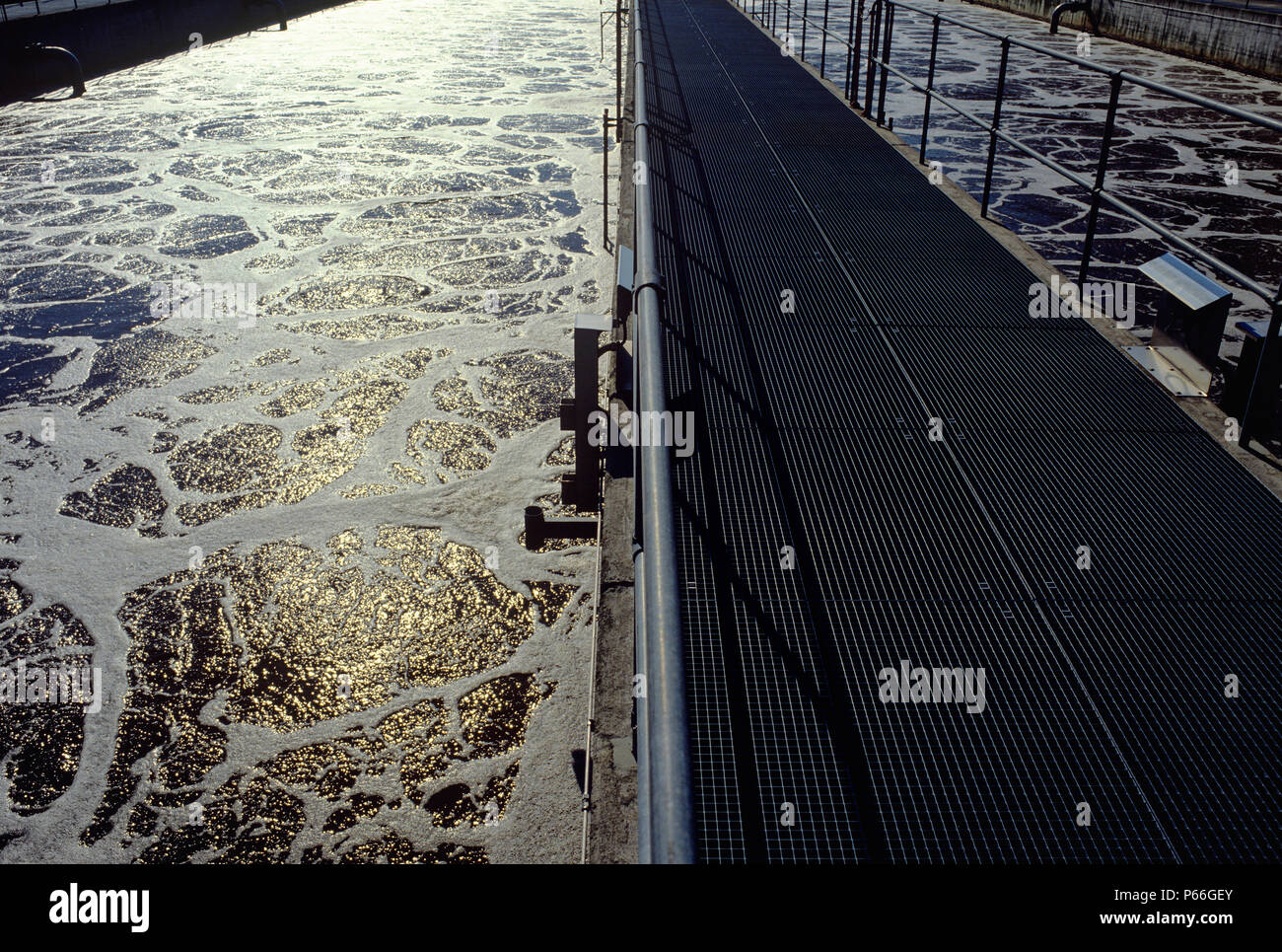 Secondary aeration tank activated sludge at waste water treatment and ...