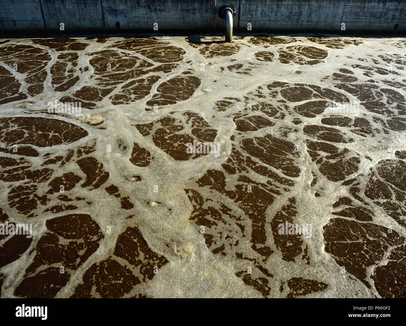 Secondary aeration tank activated sludge at waste water treatment and ...