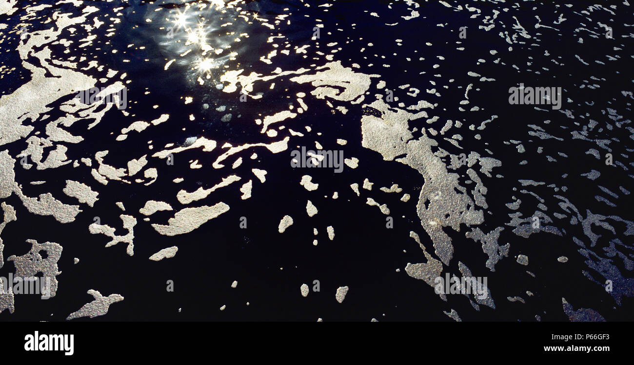 Secondary aeration tank activated sludge at waste water treatment and ...