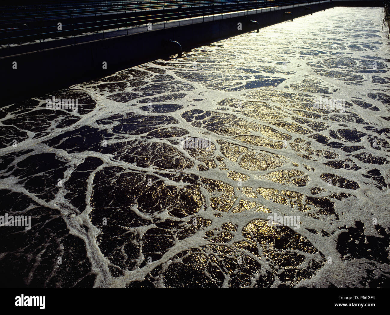 Secondary aeration tank activated sludge at waste water treatment and ...