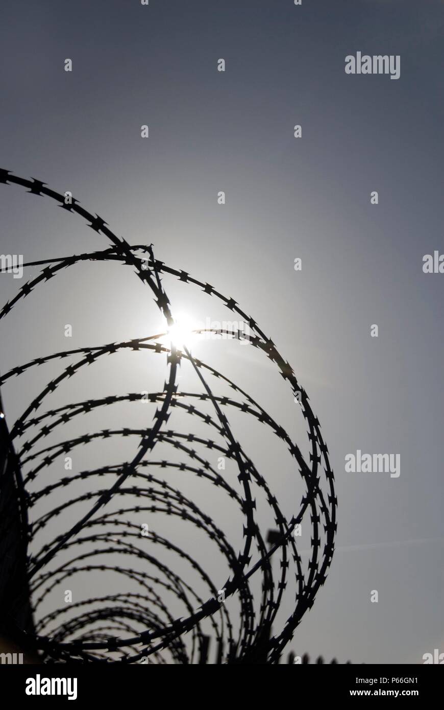 Barbed wire security fence Stock Photo - Alamy