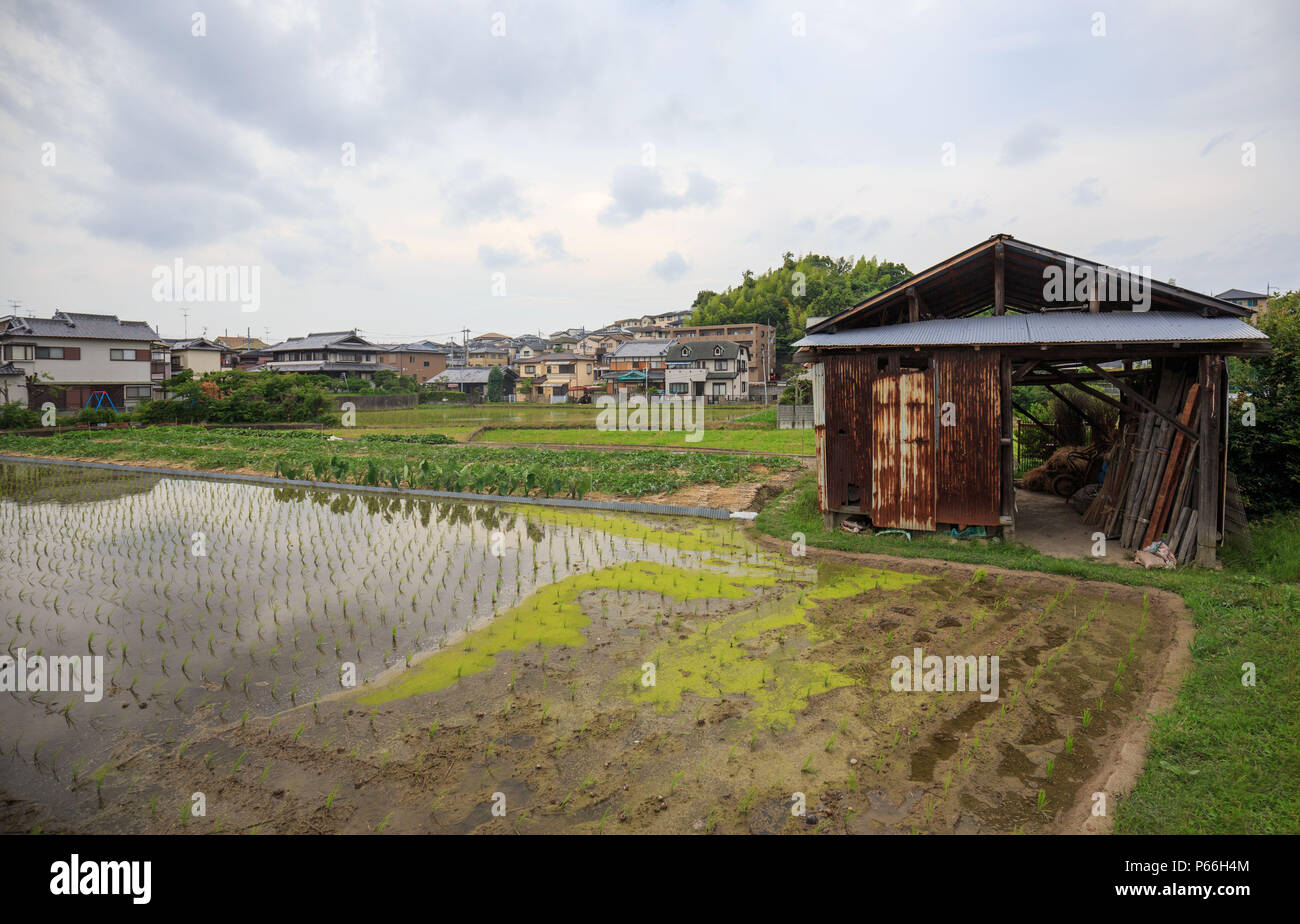 Urban farming japan hi-res stock photography and images - Alamy