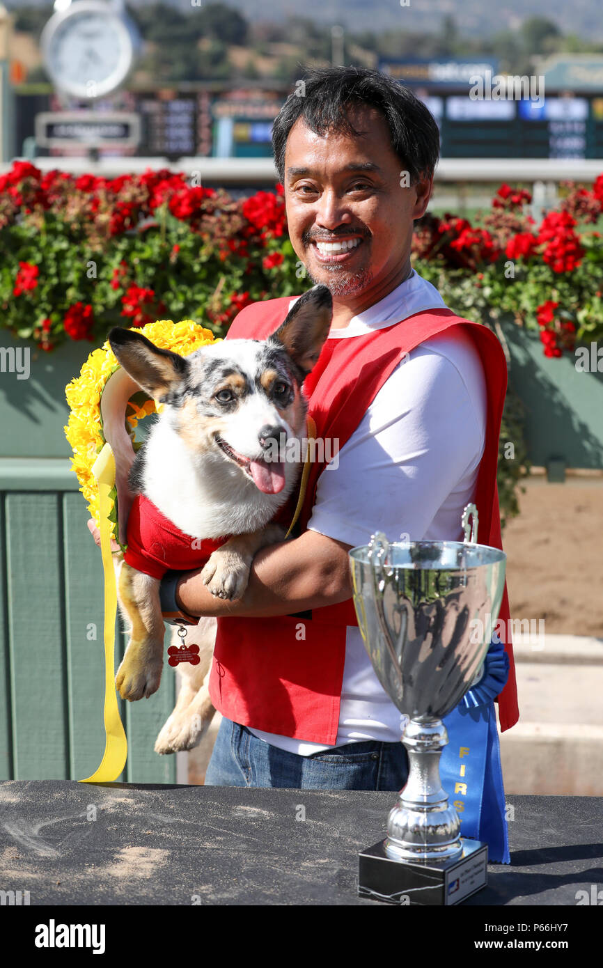 1st Annual SoCal Corgi Nationals, held at Santa Anita Park in Arcadia ...