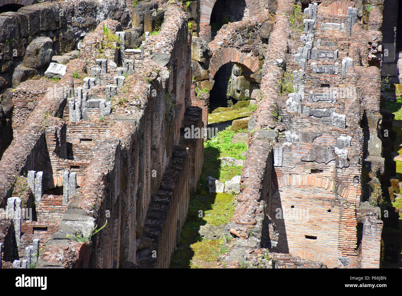 Italy, Rome, Colosseum. View of internal and external architectures ...