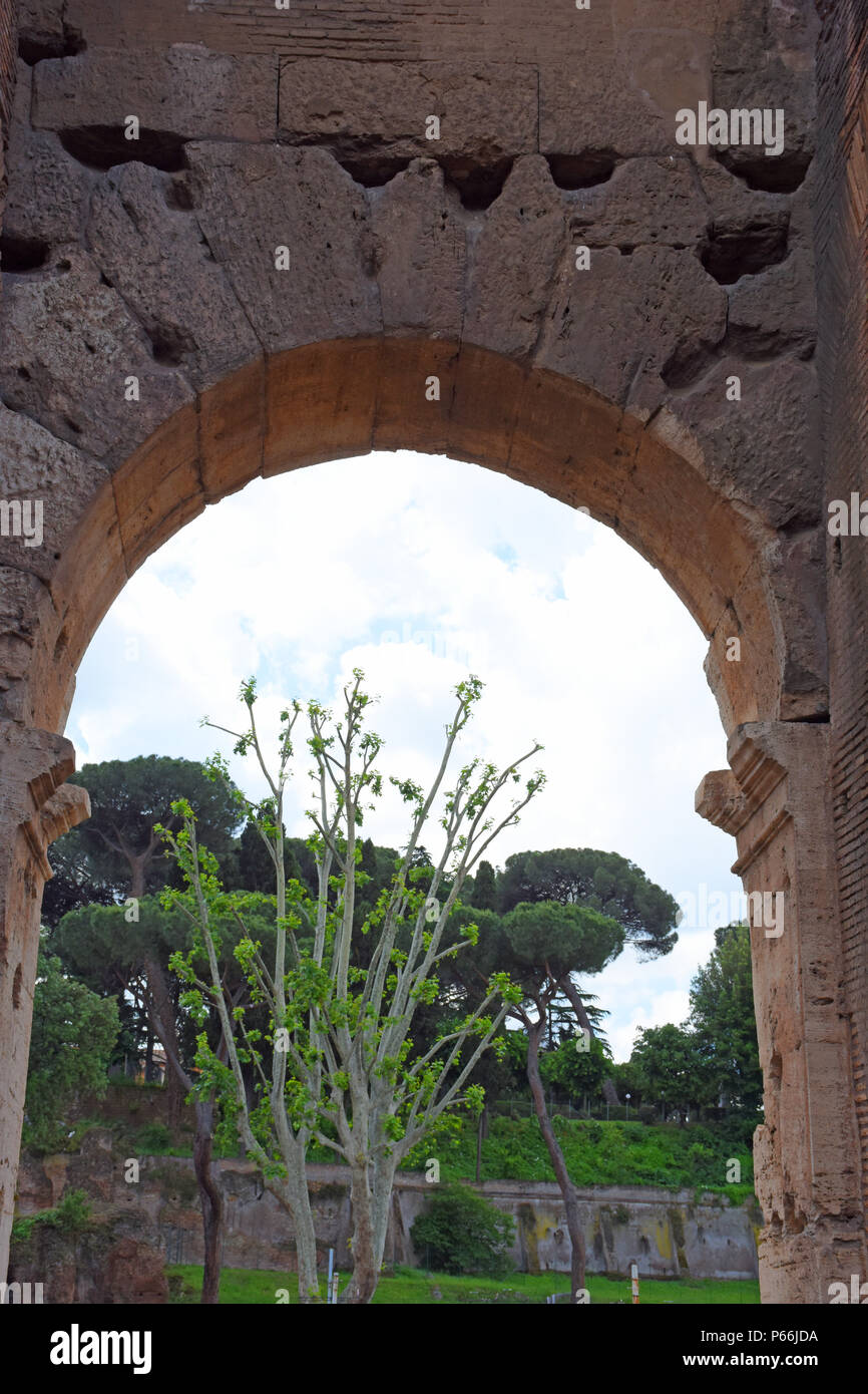 Rome, panorama from the Colosseum Stock Photo - Alamy