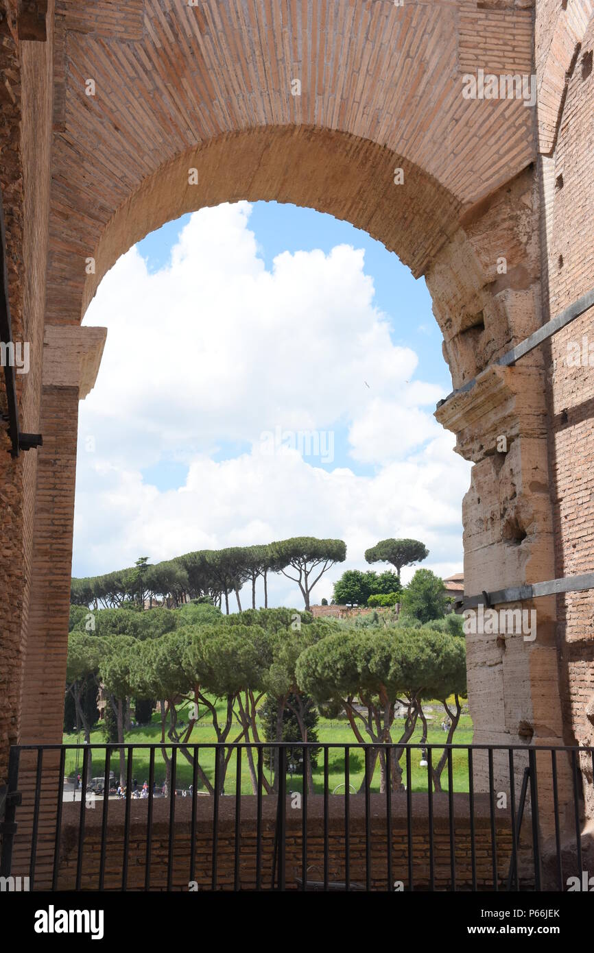 Rome, panorama from the Colosseum Stock Photo - Alamy