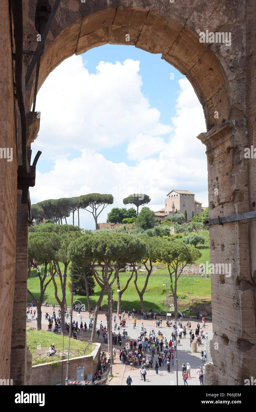 Rome, panorama from the Colosseum Stock Photo - Alamy
