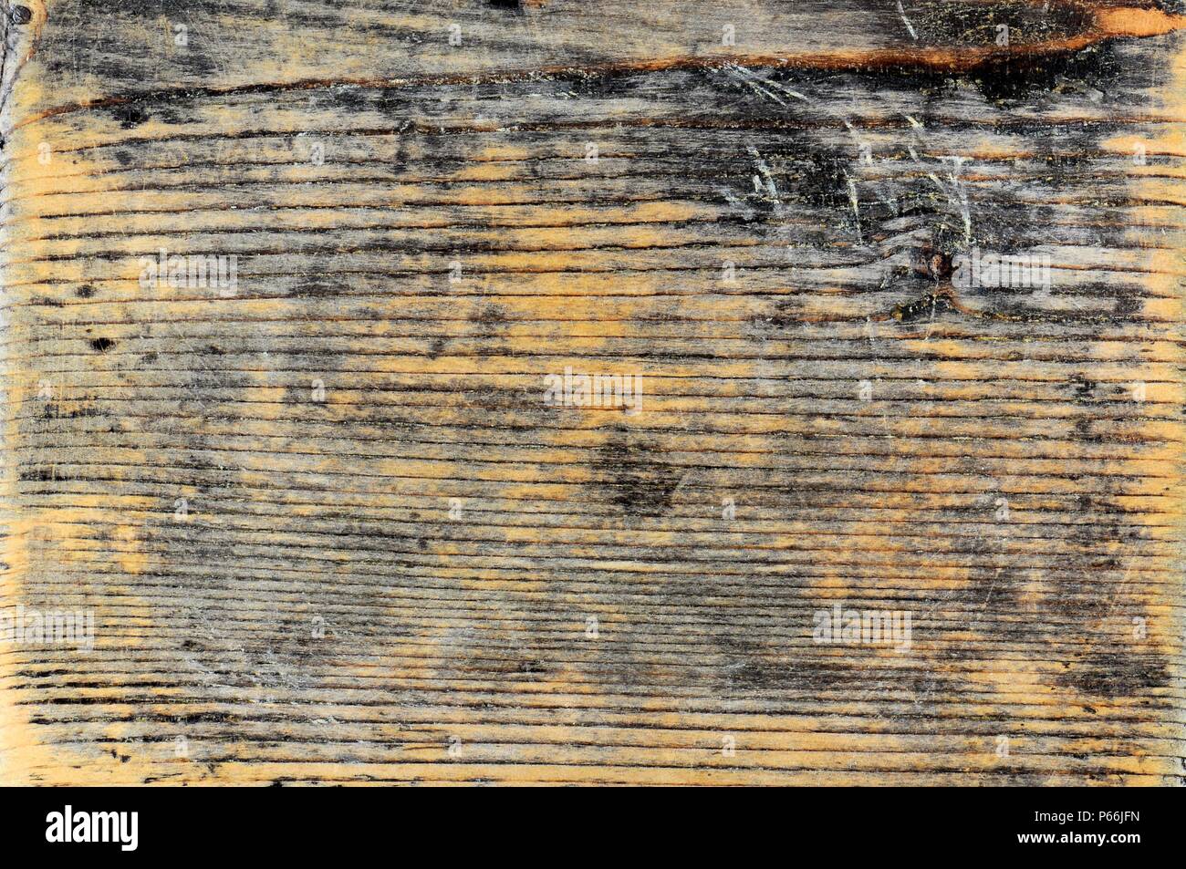 Closeup of old and damaged wood surface. For texture or background ...