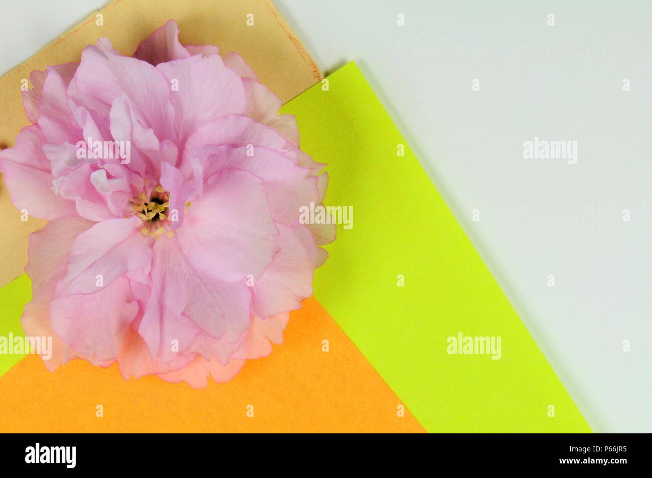 Cherry stain hi-res stock photography and images - Alamy