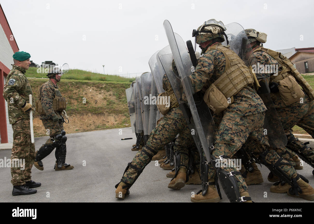 Reserve Marines with 4th Law Enforcement Battalion, Force Headquarters ...