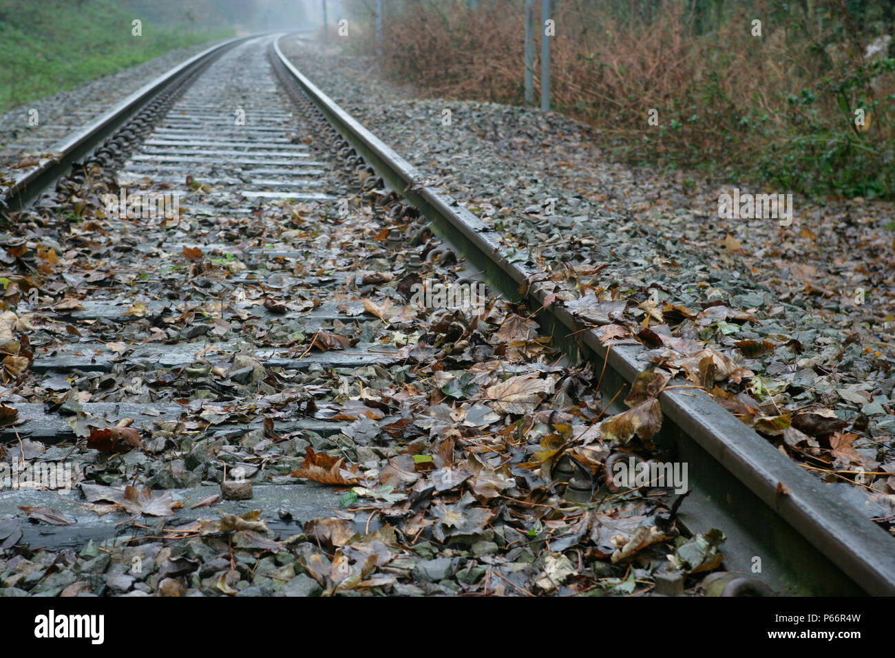 Adhesion railway hi-res stock photography and images - Alamy