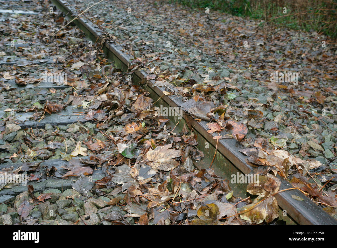 Adhesion railway hi-res stock photography and images - Alamy