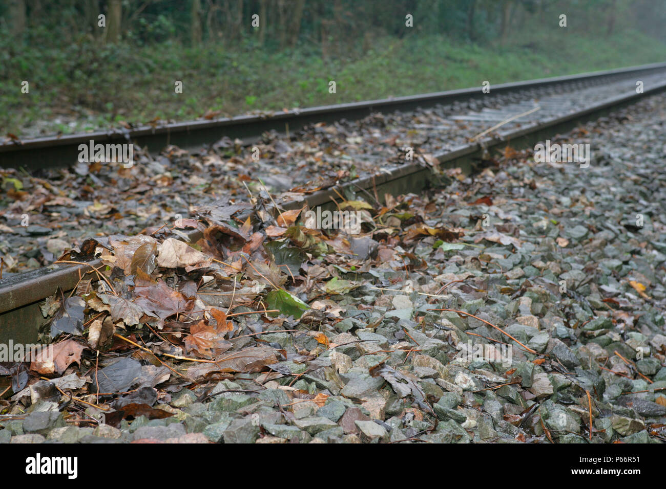 Adhesion railway hi-res stock photography and images - Alamy