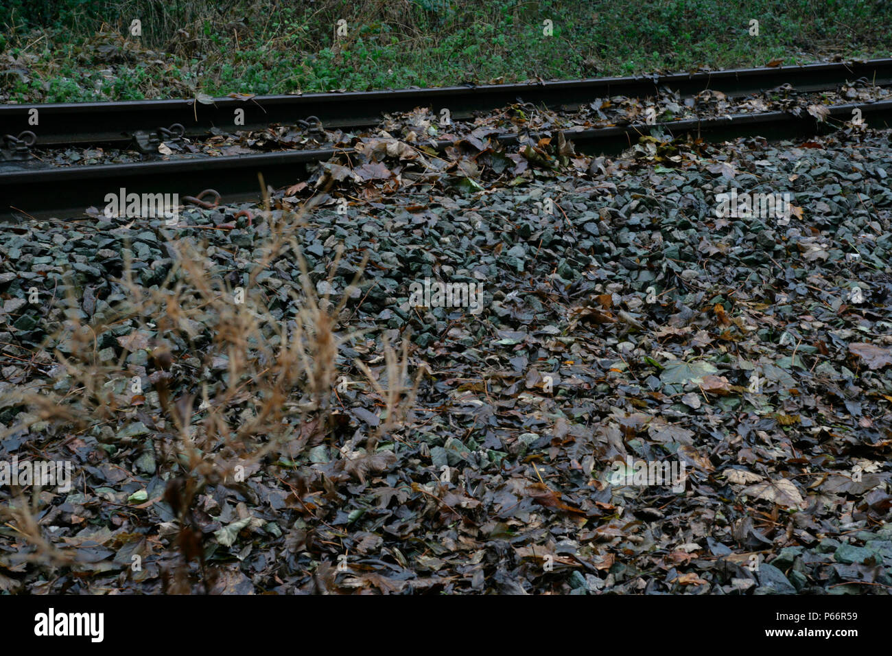 Adhesion railway hi-res stock photography and images - Alamy