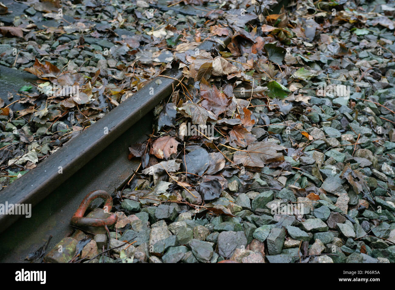 Rail adhesion hi-res stock photography and images - Alamy