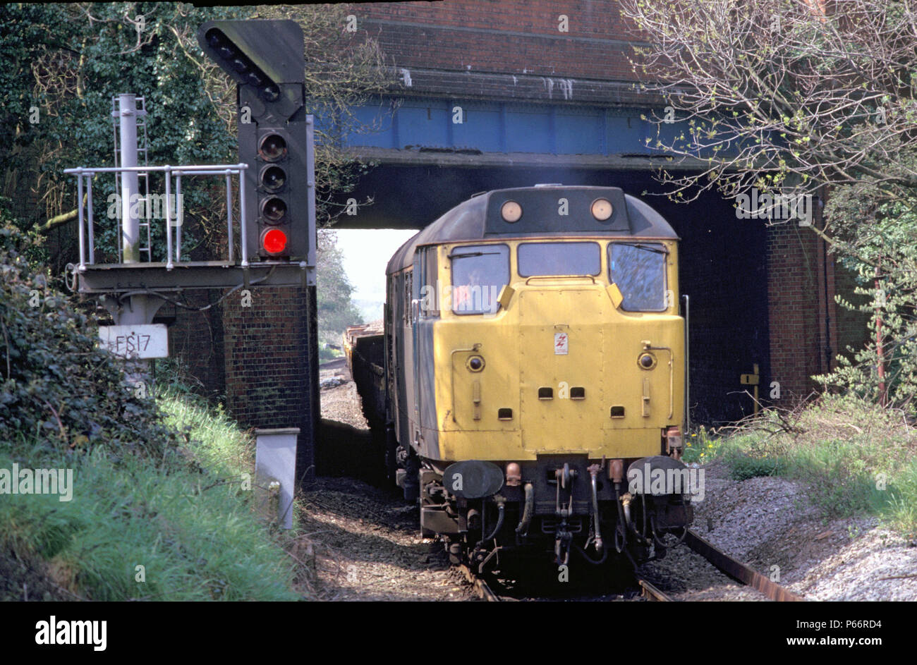 Class 31 diesel locomotive hi-res stock photography and images - Alamy
