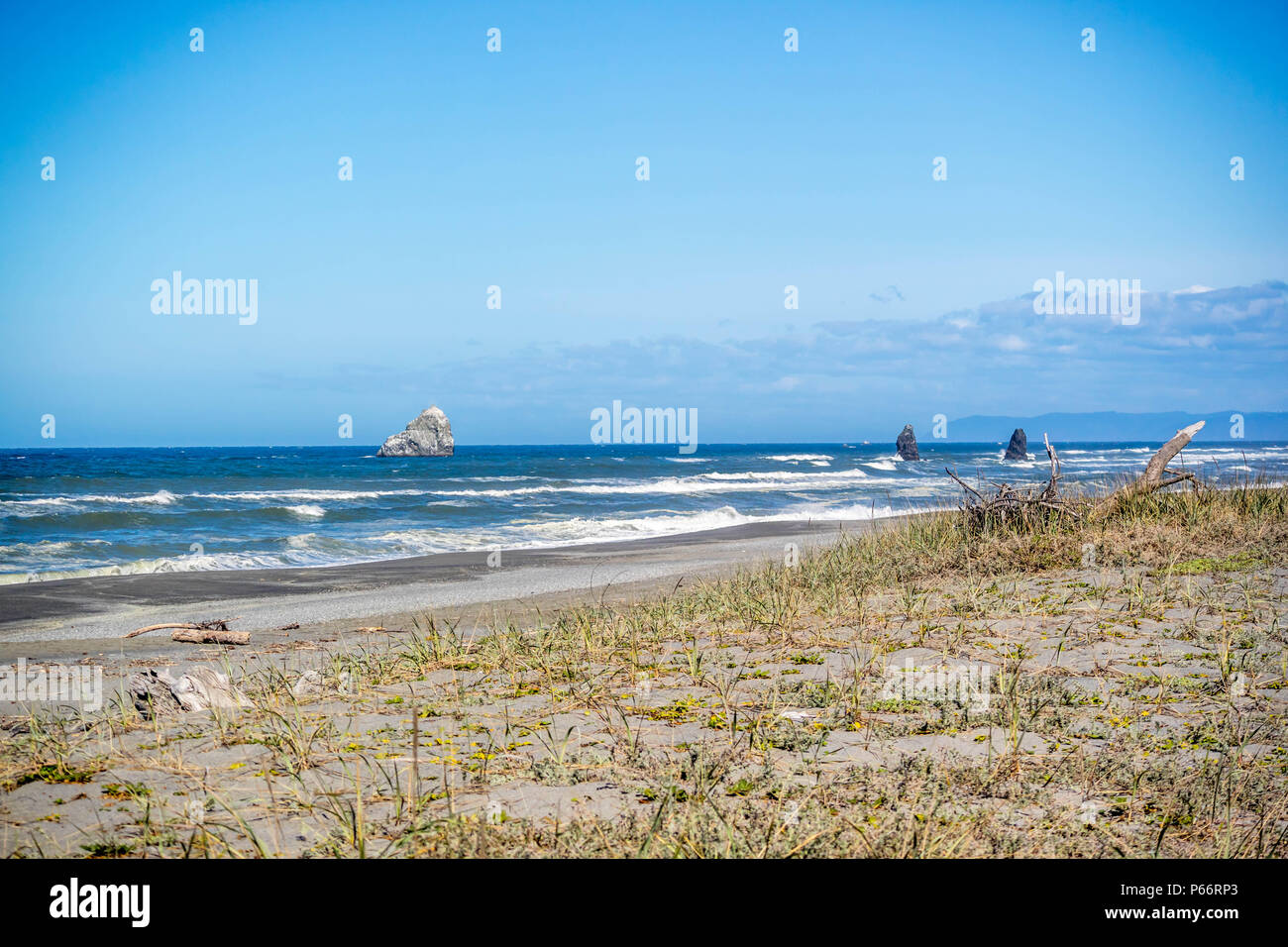 Blue ocean wave on a beach of Redwoods National & State Parks Stock ...