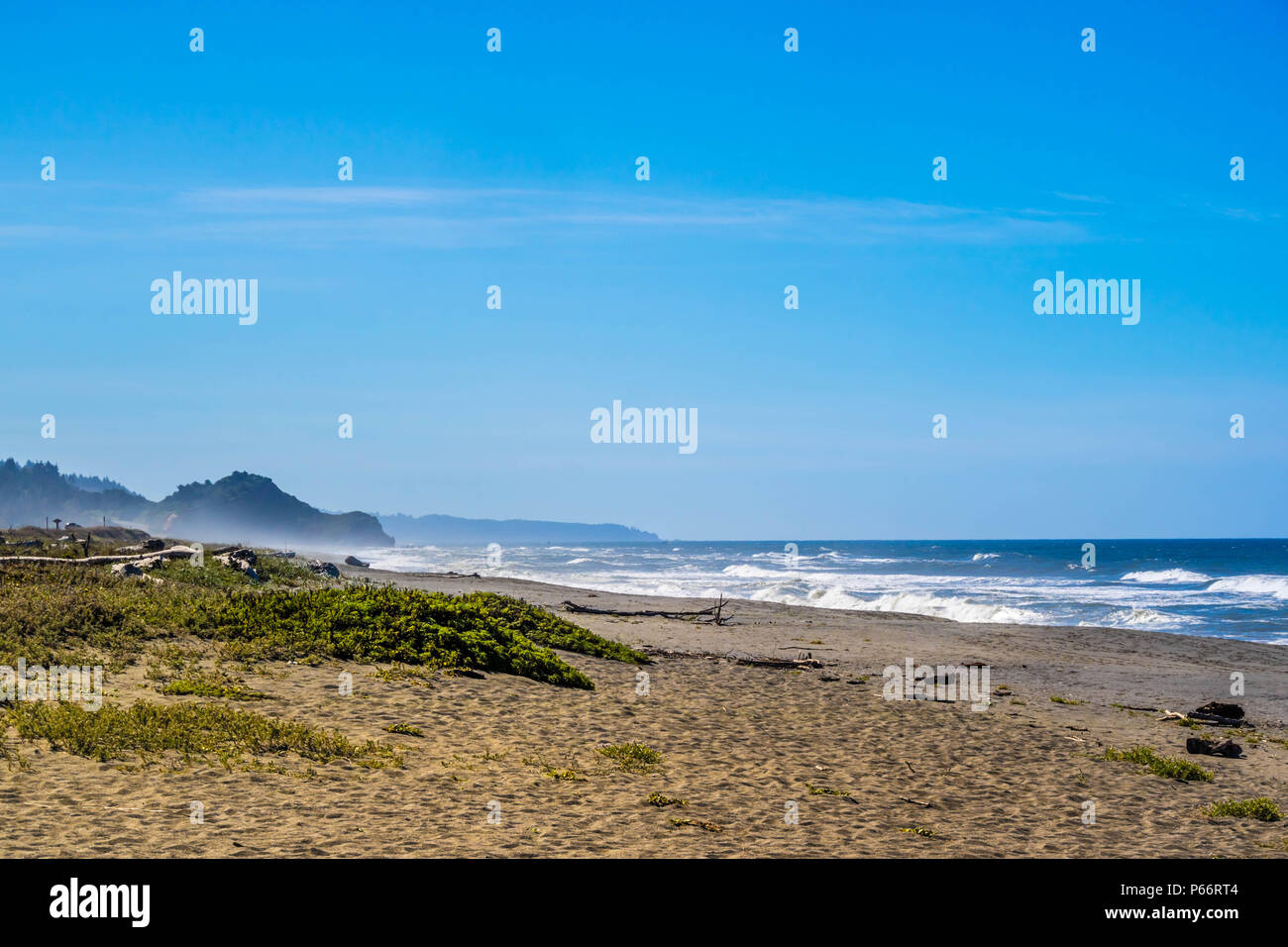 Blue ocean wave on a beach of Redwoods National & State Parks Stock ...