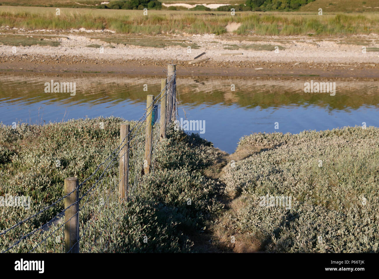 Fence leading to river bank at Cuckmere Haven Stock Photo - Alamy