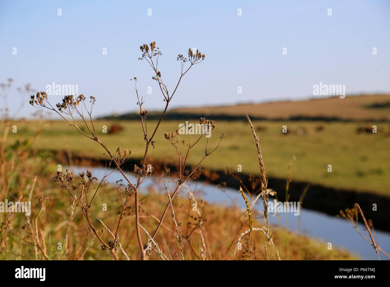 Cuckmere haven river walk hi-res stock photography and images - Alamy