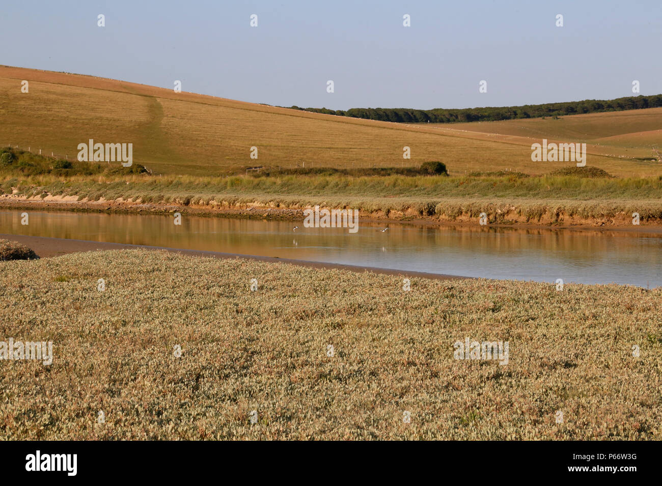 Cuckmere haven river walk hi-res stock photography and images - Alamy
