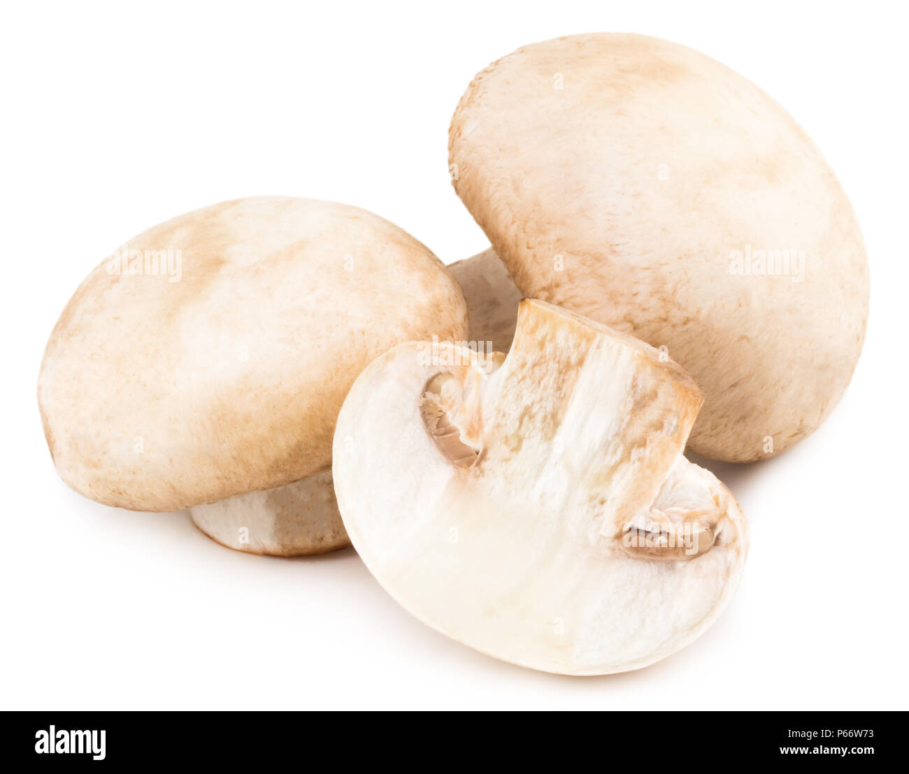 Fresh champignon mushrooms isolated on white background Stock Photo - Alamy