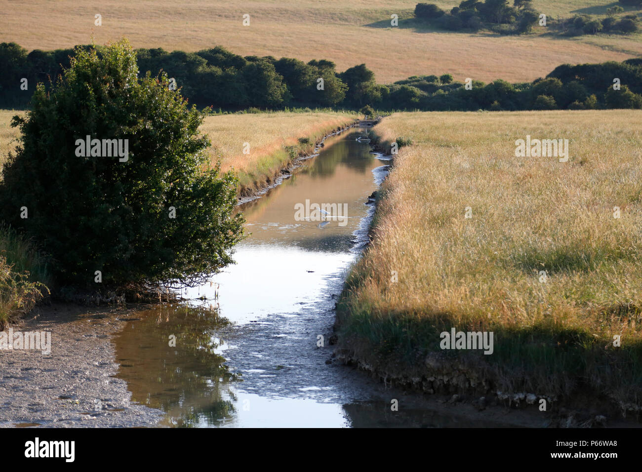Cuckmere haven river walk hi-res stock photography and images - Alamy