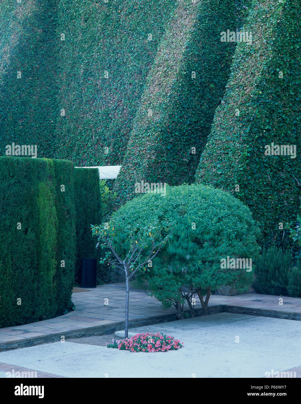 View of well pruned trees Stock Photo - Alamy