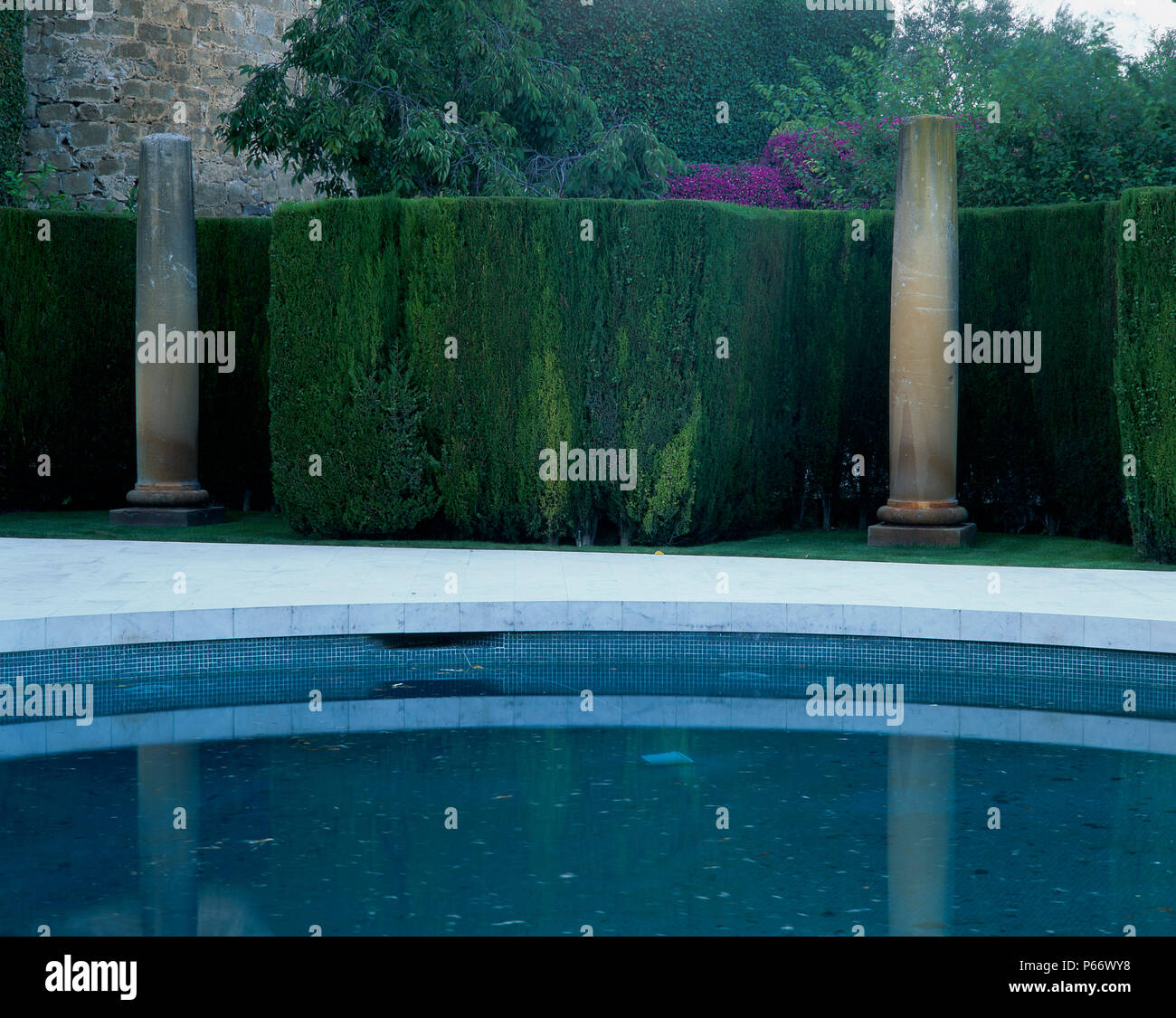 View of well pruned trees along a swimming pool Stock Photo - Alamy