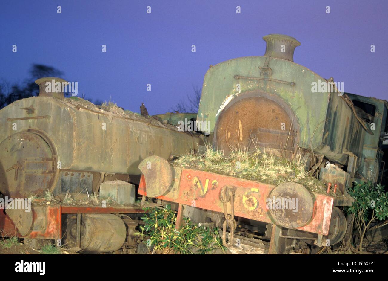 A pair of Andrew Barclay 0-4-0STs at Thomas Muir's scrapyard at Easter ...