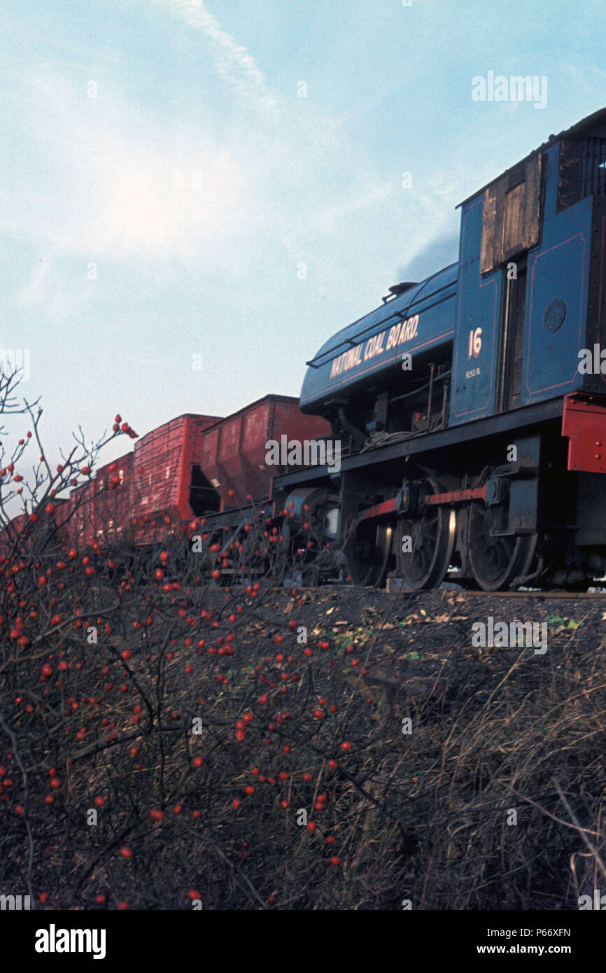 Backworth Colliery network. No.16, a Robert Stephenson & Hawthorn 18 0 ...