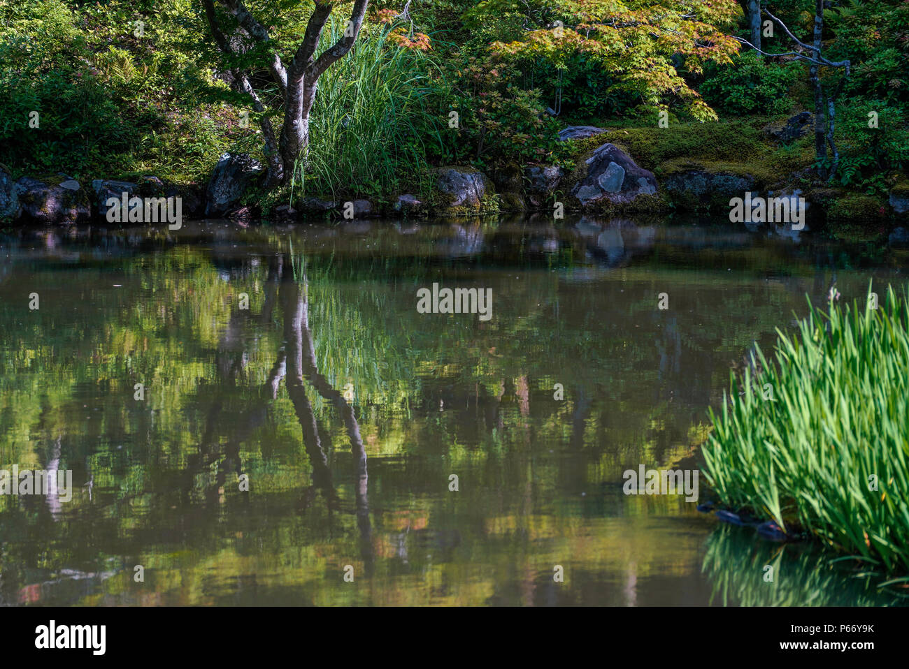 Perfect reflect hi-res stock photography and images - Alamy