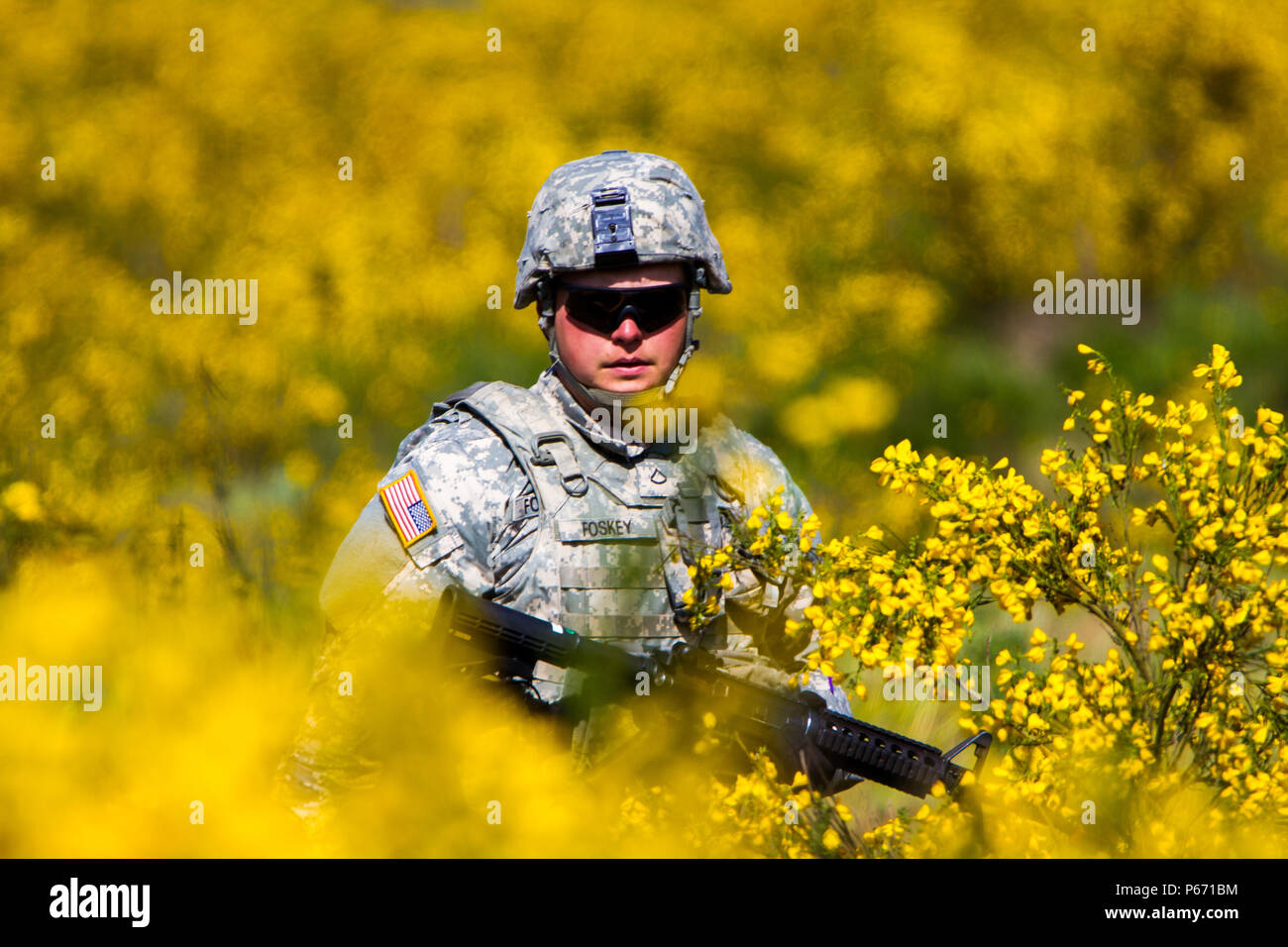 46th infantry division hi-res stock photography and images - Alamy