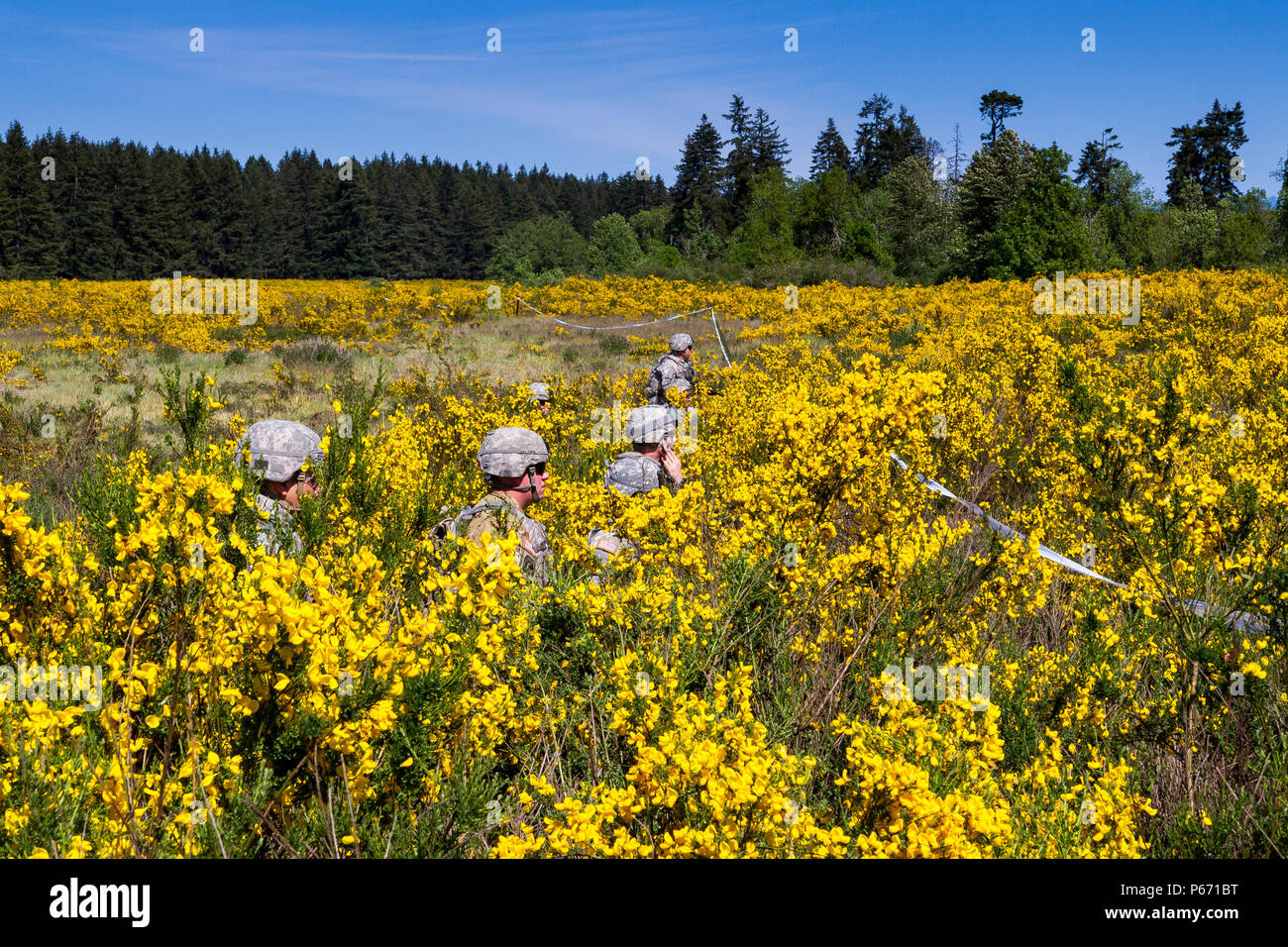 U.S. Army Soldiers, assigned to 46th Aviation Support Battalion, 16th ...