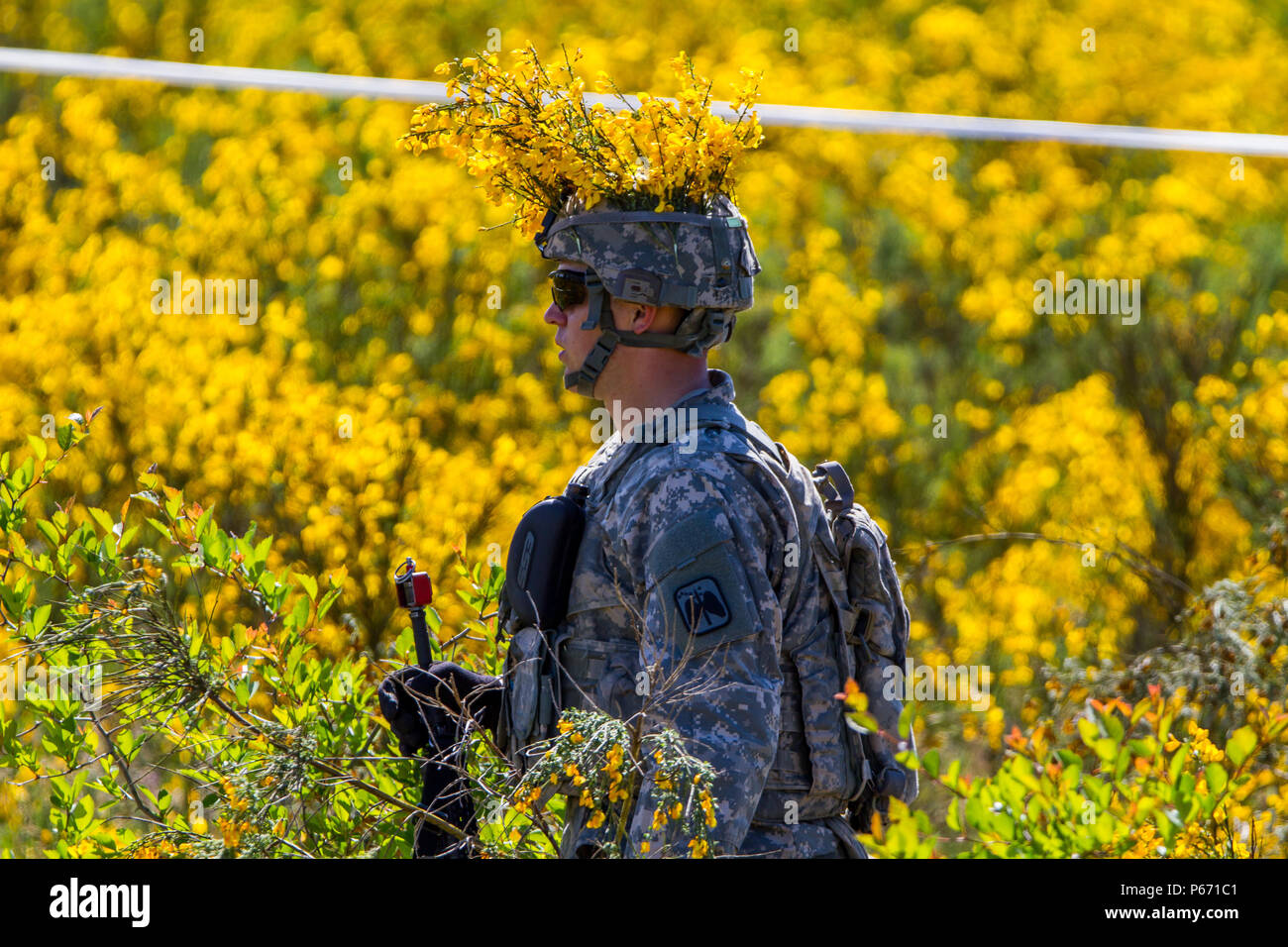 46th infantry division hi-res stock photography and images - Alamy