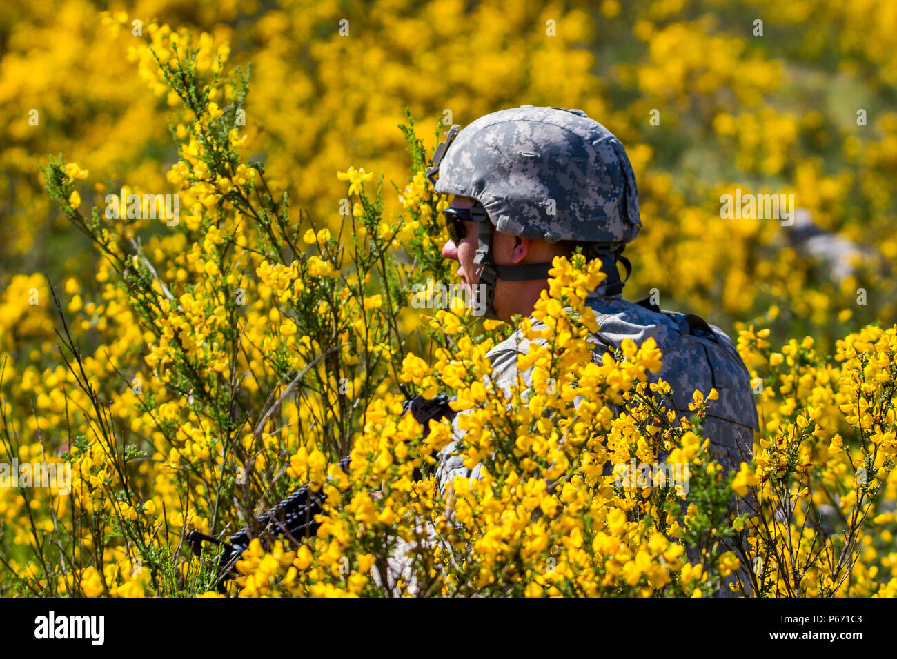 A U.S. Army Soldier, assigned to 46th Aviation Support Battalion, 16th ...
