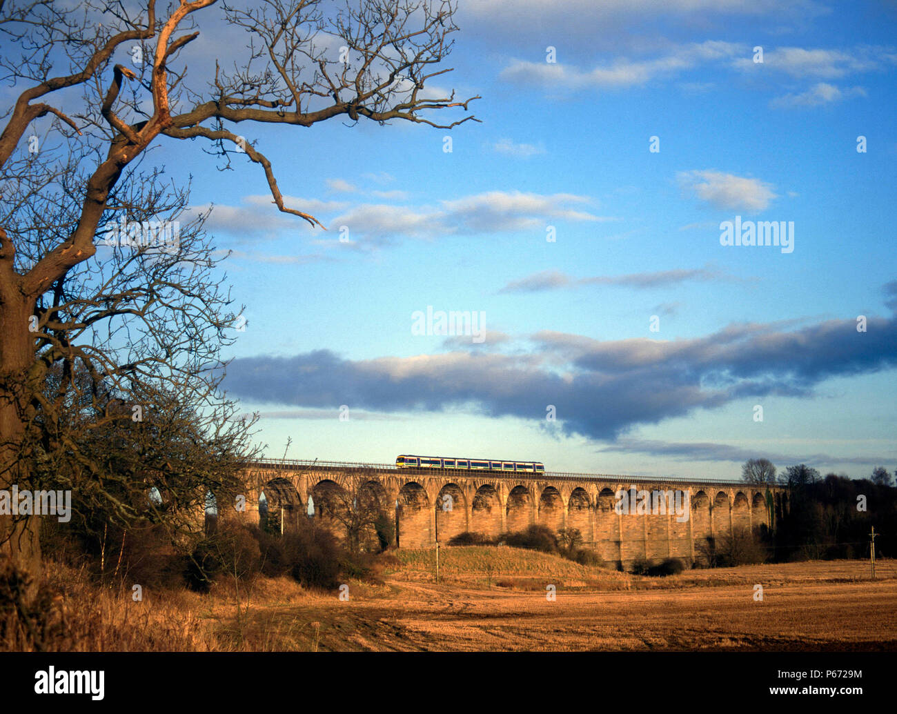 R001 04576 hi-res stock photography and images - Alamy