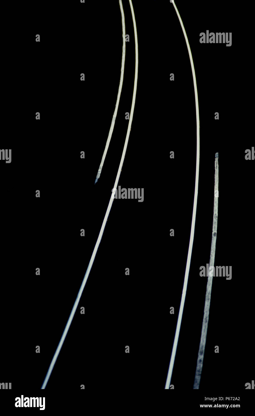 A section of electrified third rail railway line in the UK Stock Photo ...