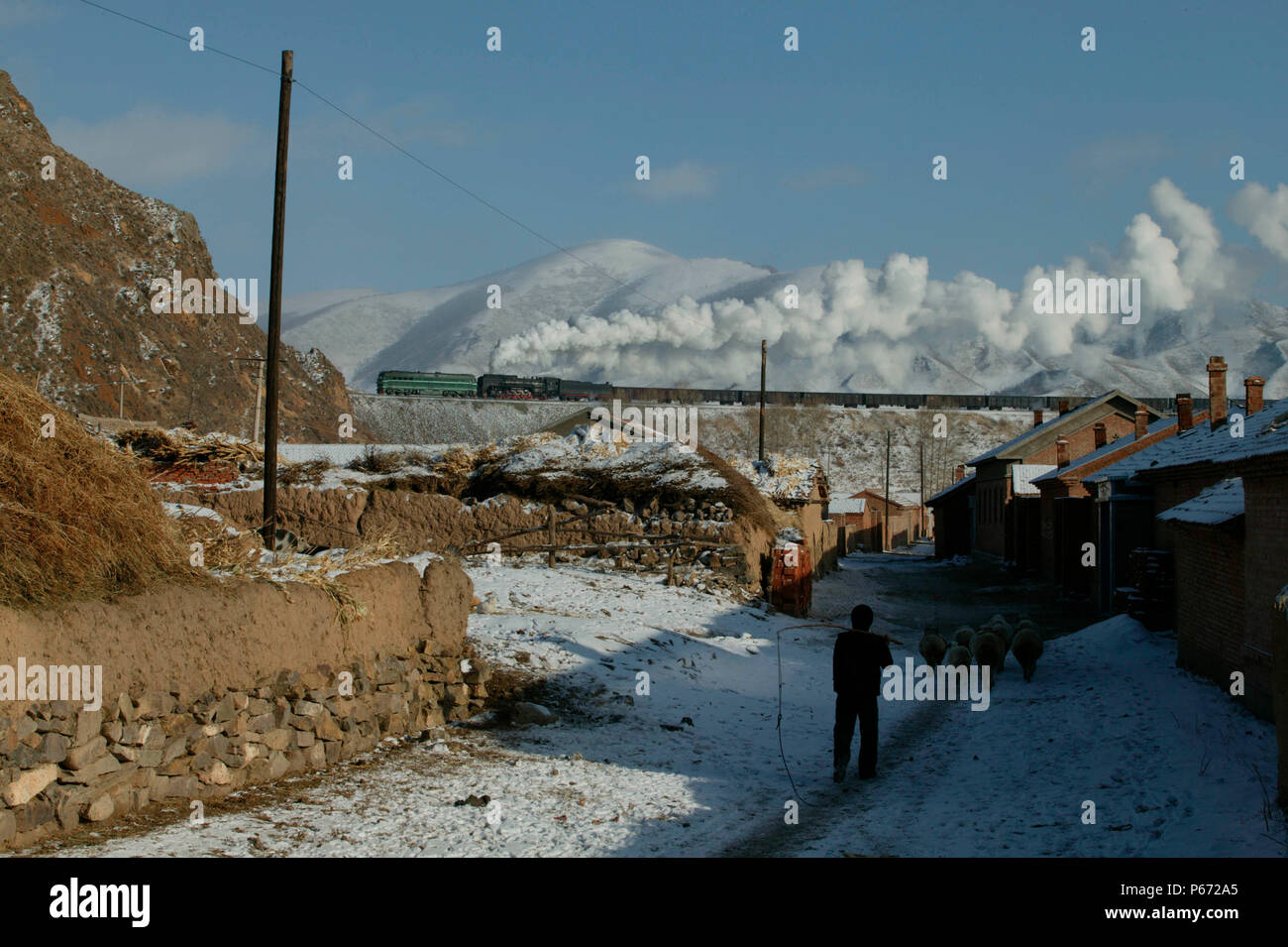 A Shepard heads his flock of sheep along the main street of Erdi ...