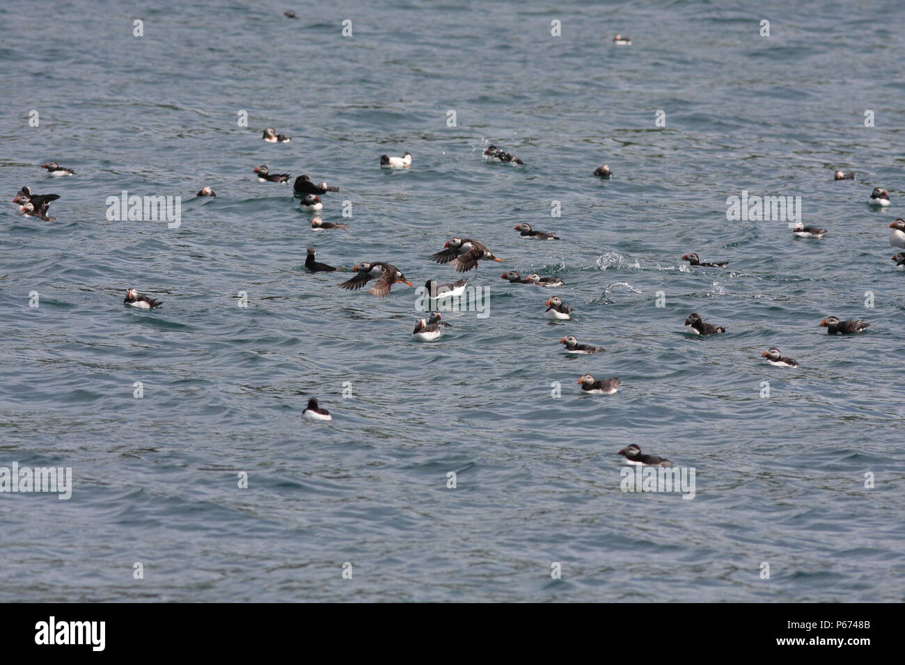 Raft raft hi-res stock photography and images - Alamy