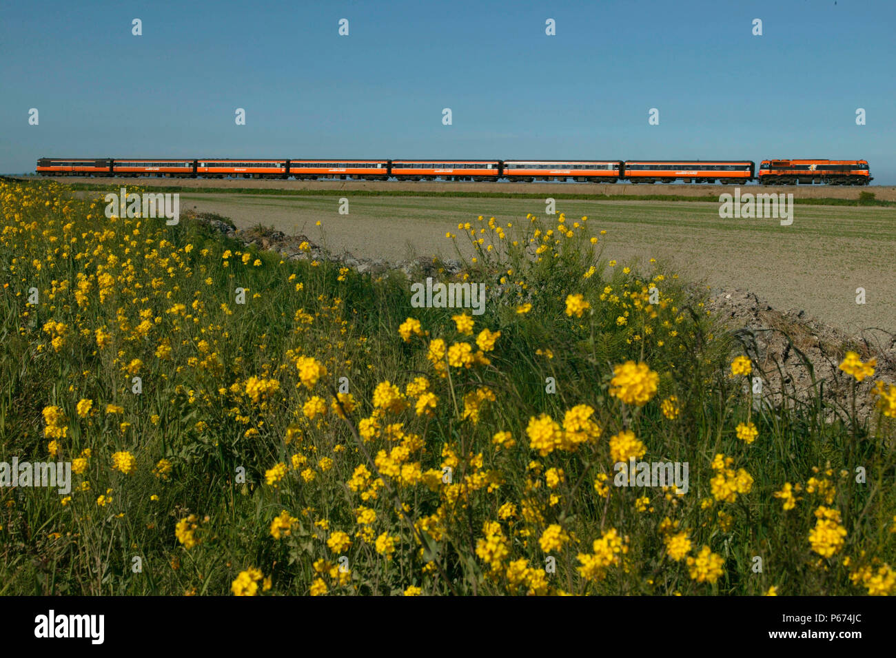 R001 00312 hi-res stock photography and images - Alamy