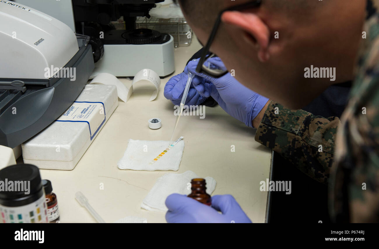 Urinalysis test hi-res stock photography and images - Alamy