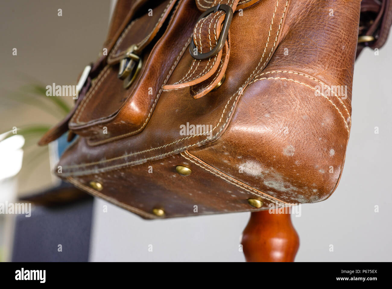 mold on old brown leather bag, fungus on leather bag Stock Photo - Alamy