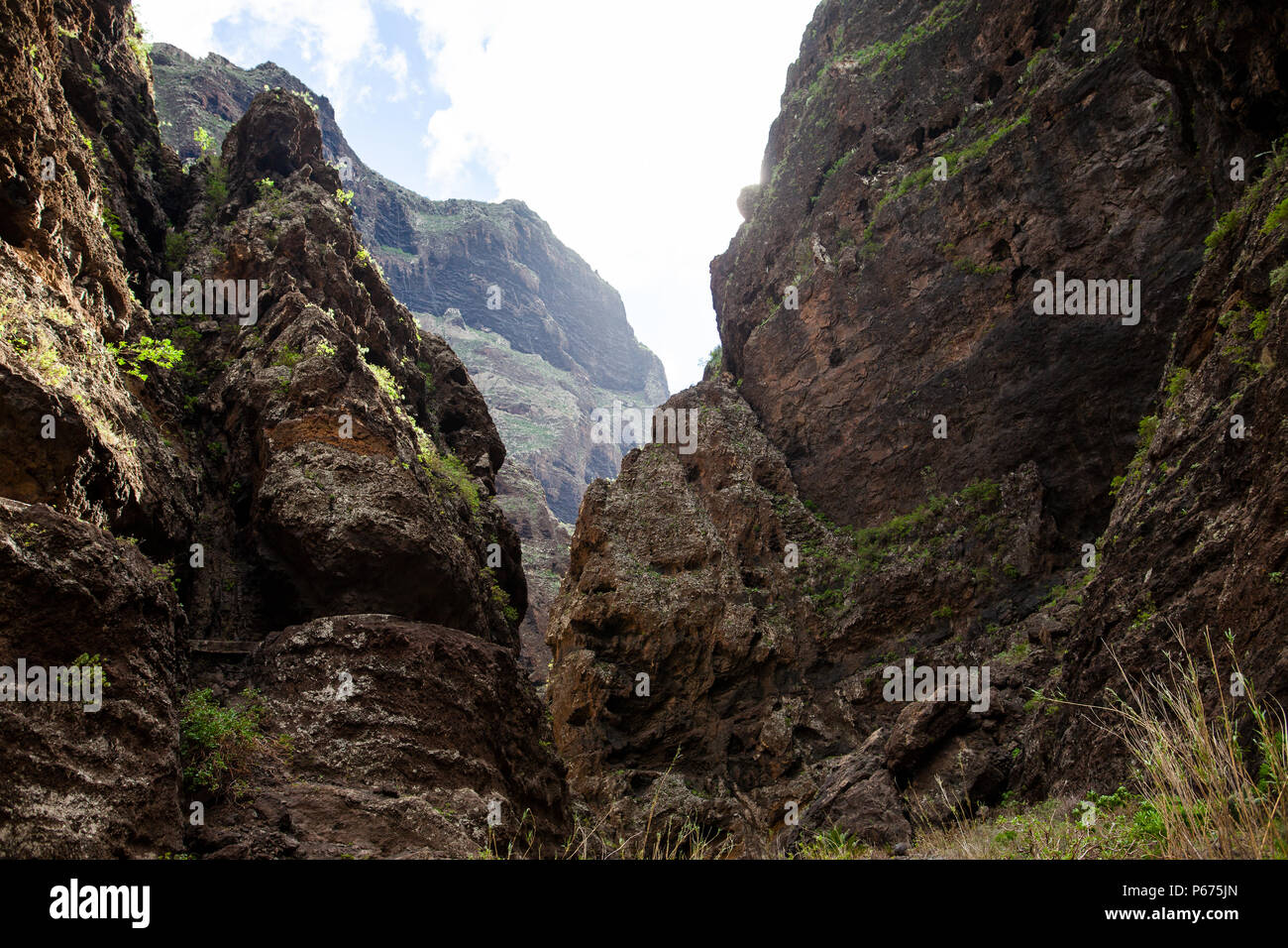 Scenic mountains landscape of Masca Gorge, Tenerife, Canary Islands ...