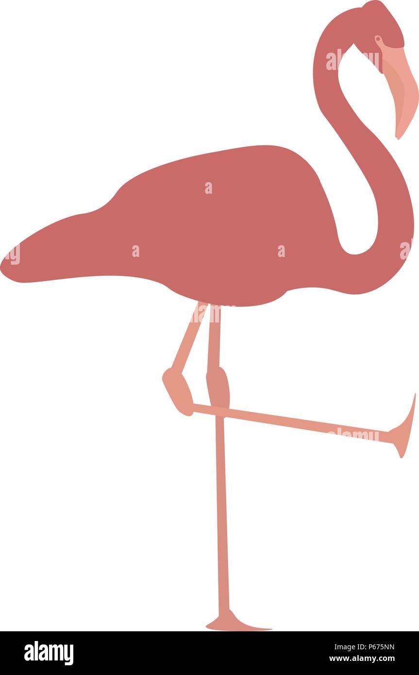 Vector image of a pink flamingo standing on one leg with the other leg ...