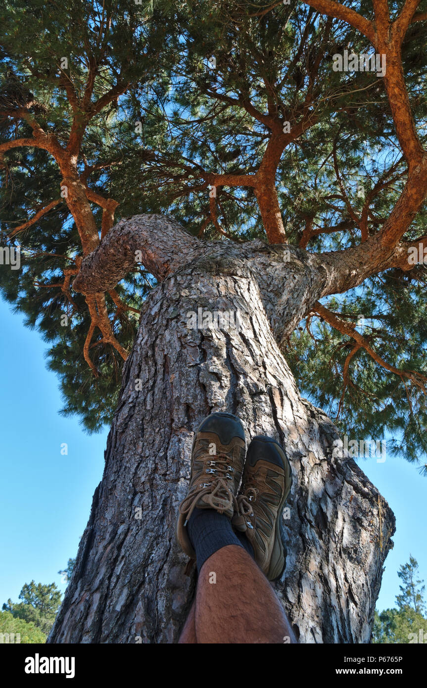 Man with hiking shoes resting under a tree (POV), legs crossed Stock ...